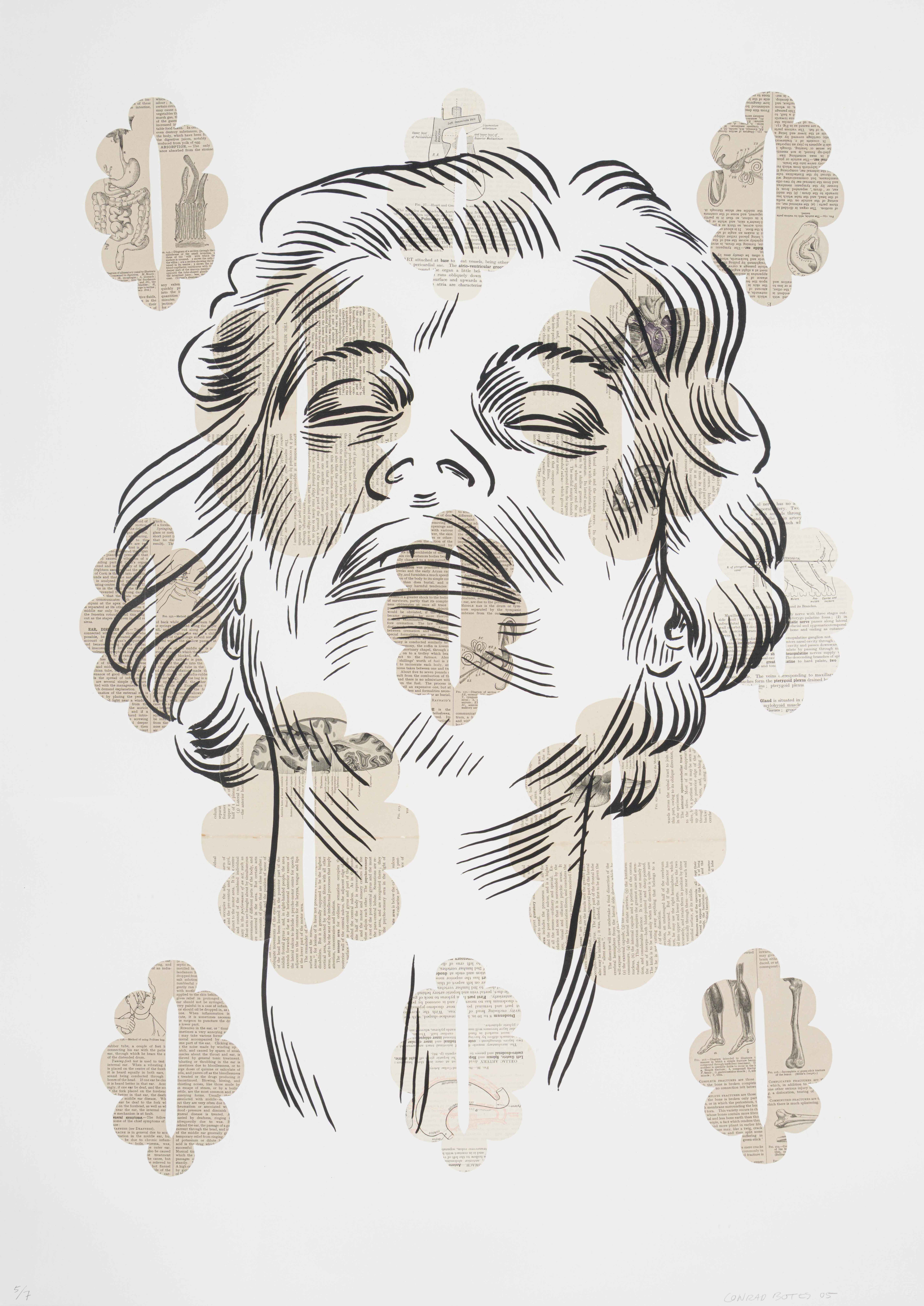 Female Anatomy 2 by Conrad Botes | Strauss & Co