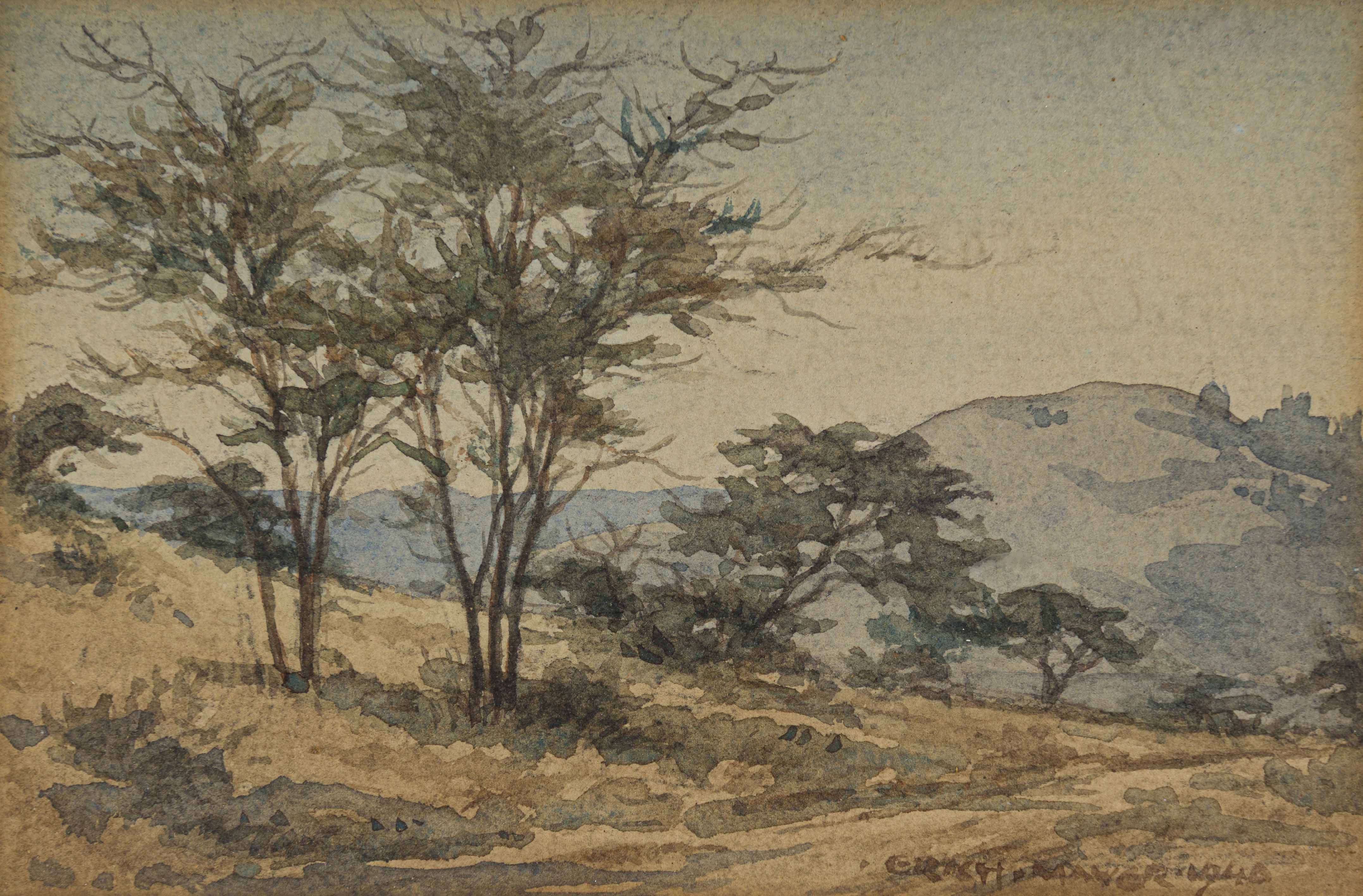Boompies en Berge/Trees and Mountains by Erich Mayer | Strauss & Co