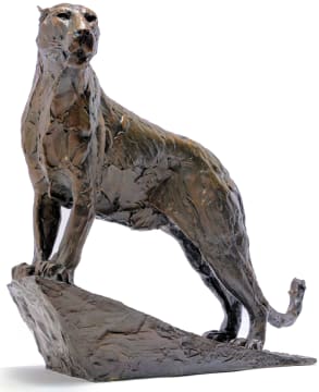 Standing Leopard by Dylan Lewis | Strauss & Co