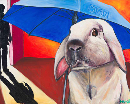 50/50 (Shadow and Rabbit) by Colbert Mashile | Strauss & Co