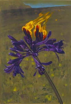 Agapanthus Africanus by Helmut Starcke | Strauss & Co