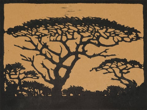Wilde Sering Boom, NT (Nilant 98) by Jacob Hendrik Pierneef | Strauss & Co