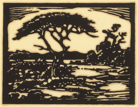 Doringboom, Warmbad (Nilant 61) by Jacob Hendrik Pierneef | Strauss & Co