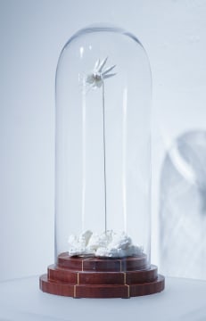 Amaranthine – Et Vitat in Aeternum (and Live Forever?) by Michele ...