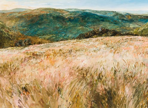 Hilton College Estate – Veld above Pinnacles by Scott Bredin | Strauss & Co