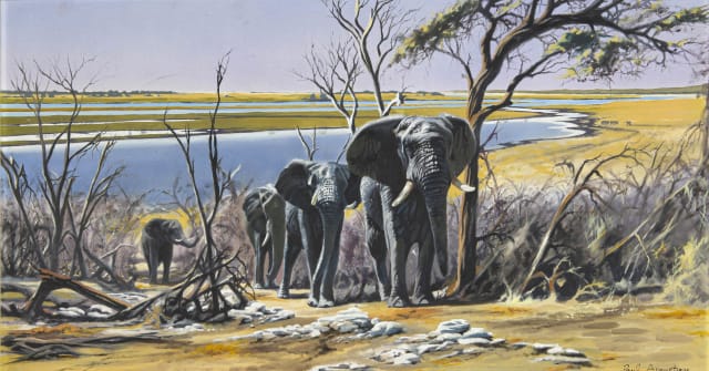 Elephants by a River by Paul Augustinus | Strauss & Co