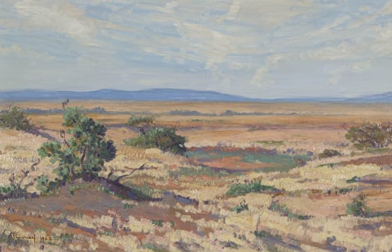 Bushveld Scene by Jacob Hendrik Pierneef | Strauss & Co