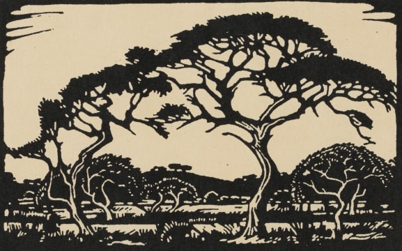 Doringboom, Potgietersrust (Nilant 62) by Jacob Hendrik Pierneef ...