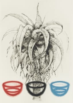 Exile by Erika Hibbert | Strauss & Co