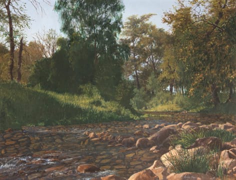 Landscape with Stream by Paddy Starling | Strauss & Co
