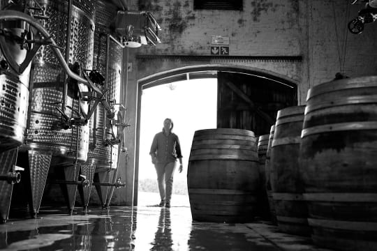 Strydom Family Wines; The Game Changer Cabernet Franc - Merlot; 2017 ...