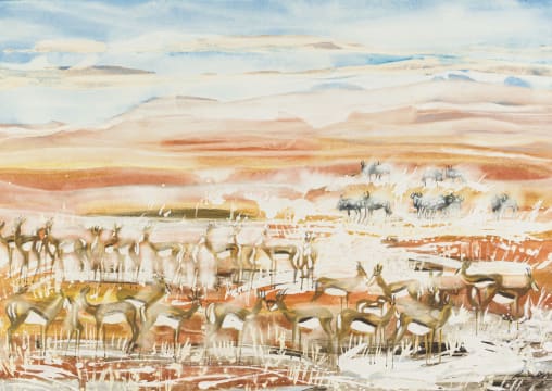 Springbok Beneath Red Dunes by Gordon Vorster | Strauss & Co