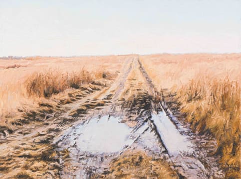 Near Sasolburg, Free State by Sipho Ndlovu | Strauss & Co