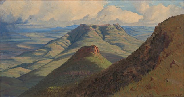 Bo op Majuba by Willem Hermanus Coetzer | Strauss & Co