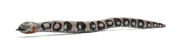 Snake by Dr Phuthuma Seoka | Strauss & Co