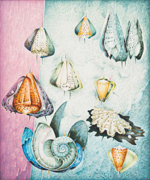 Shells by Alexis Preller | Strauss & Co