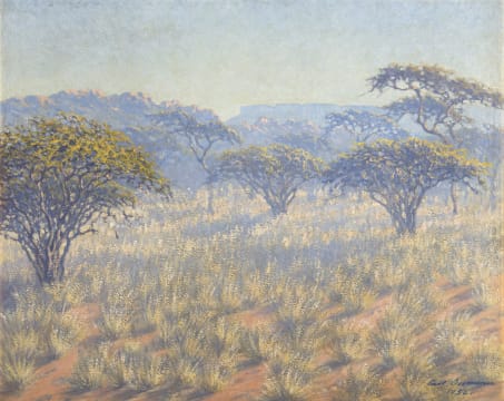 Waterberg, Namibia by Carl Ossmann | Strauss & Co