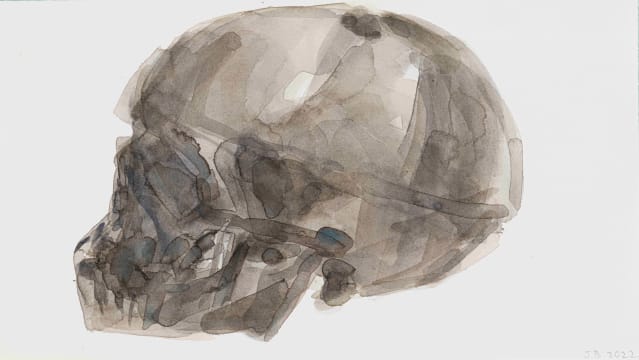 Skull Series (I) by Joni Brenner | Strauss & Co