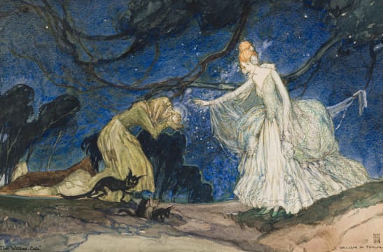 The Witches' Cats by William Timlin | Strauss & Co