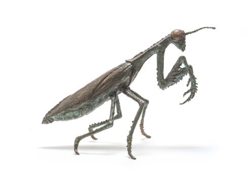 Praying Mantis by Robert (Bobby) Lawrence | Strauss & Co