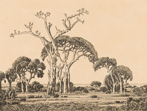 Bushveld, Northern Transvaal by Jacob Hendrik Pierneef | Strauss & Co