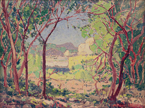 Spring River Scene by Jacob Hendrik Pierneef | Strauss & Co