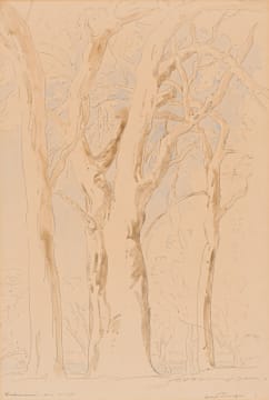 Sabie Rivier by Jacob Hendrik Pierneef | Strauss & Co