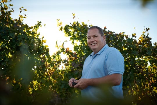 2019 Frans K Smit CWG Special Edition 36 (6 x 6) 750ml by Spier Wines ...