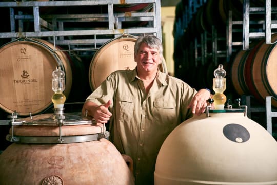 2021 Op Die Berg Pinot Noir 12 (2 x 6) 750ml by De Grendel Wines ...