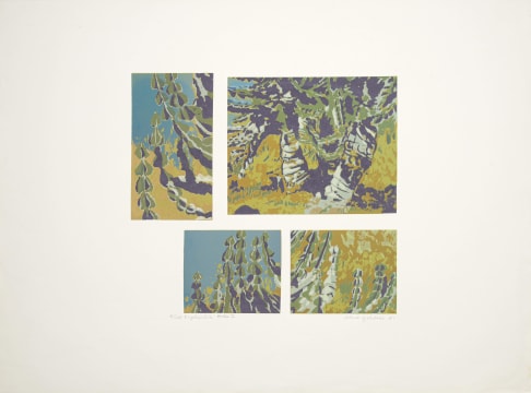 Euphorbia State I by Alice Goldin | Strauss & Co