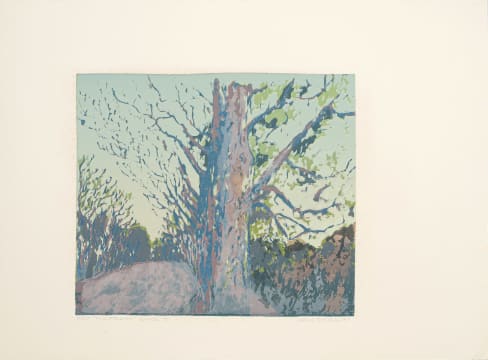 Platanes State I by Alice Goldin | Strauss & Co