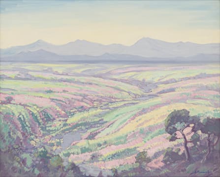 Extensive Landscape by Jacob Hendrik Pierneef | Strauss & Co