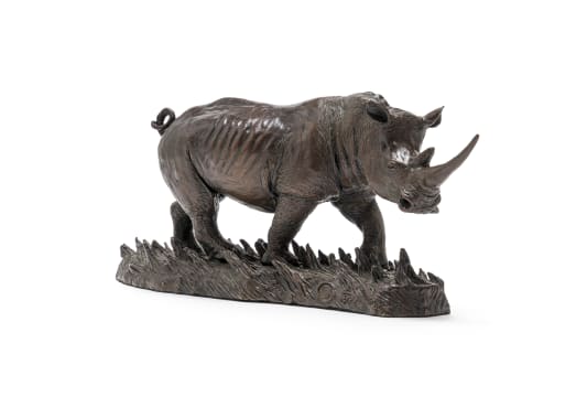 Rhino by Donald Greig | Strauss & Co