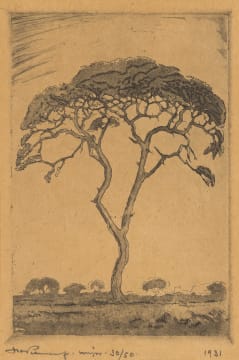 Doringboom by Jacob Hendrik Pierneef | Strauss & Co