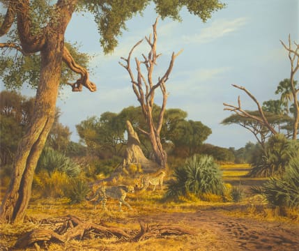 Two Cheetahs, Okavango by Paul Augustinus | Strauss & Co