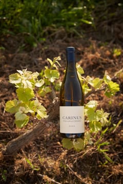 Carinus Vineyards & Radford Dale Collection 30 (1 x 30) | Strauss & Co