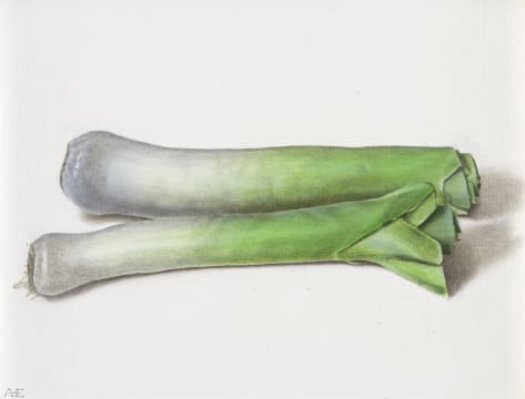 Leeks by Alex Emsley | Strauss & Co