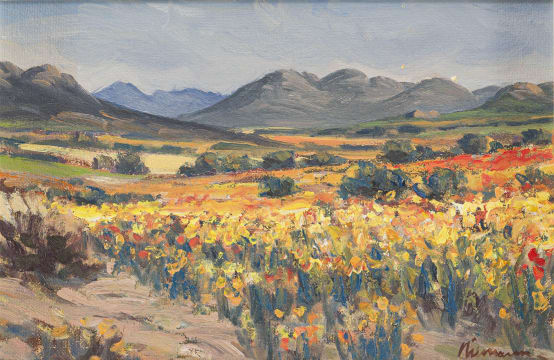 Extensive Landscape with Flowers by Hennie Niemann Snr | Strauss & Co