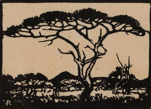 Doringboom in Veld (Nilant 96) by Jacob Hendrik Pierneef | Strauss & Co
