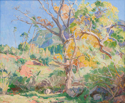 On the Slopes of Devils Peak, Teen Duiwelspiek by Francois Roux ...