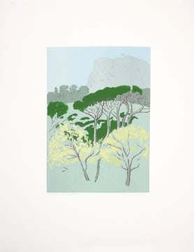 Looking at Signal Hill by Alice Goldin | Strauss & Co