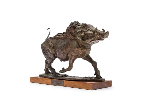Warthog by Jo Roos | Strauss & Co