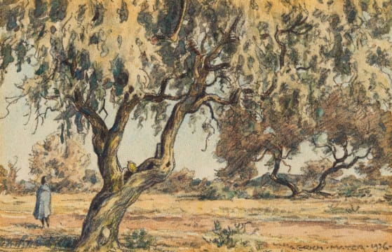 Tree by Erich Mayer | Strauss & Co