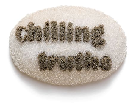 Chilling Truths by Frances Goodman | Strauss & Co