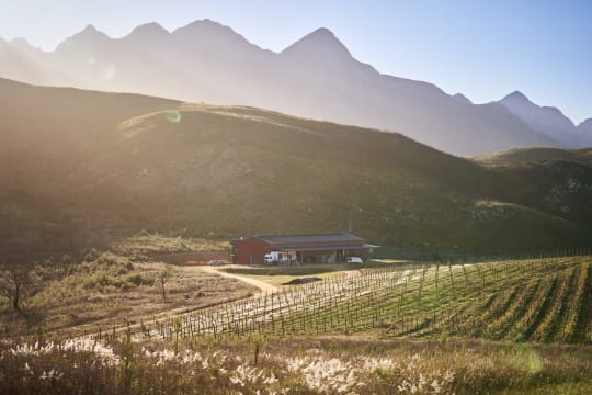 Lismore Estate Vineyards; Valkyrie Chardonnay; 2023; 36 (6 x 6); 750ml ...