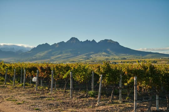 2021 Frans K. Smit Heritage Reserve Red 12 (2 x 6) 750ml by Spier Wines ...