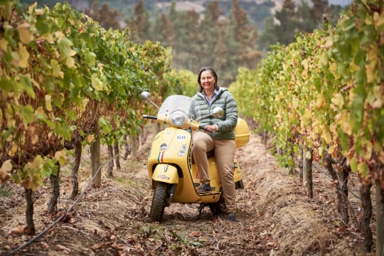 Strydom Family Wines; The Game Changer Cabernet Franc-Merlot; 2020; 12 ...