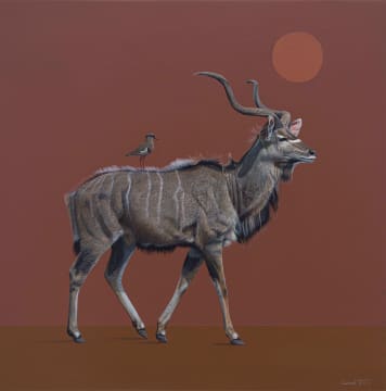 Journey by Gerick Terblanche | Strauss & Co