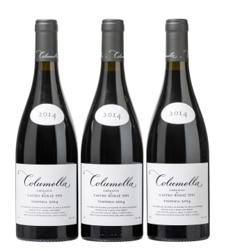 Columella 2014 3 (1 x 3) 750ml by Sadie Family | Strauss & Co