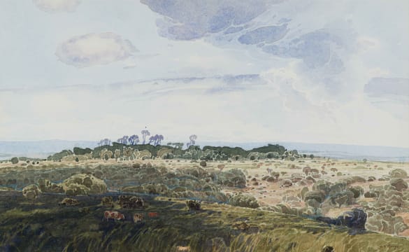 Pasture, Bathurst by Neil Rodger | Strauss & Co